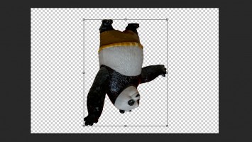 Free Transform Tool in Photoshop